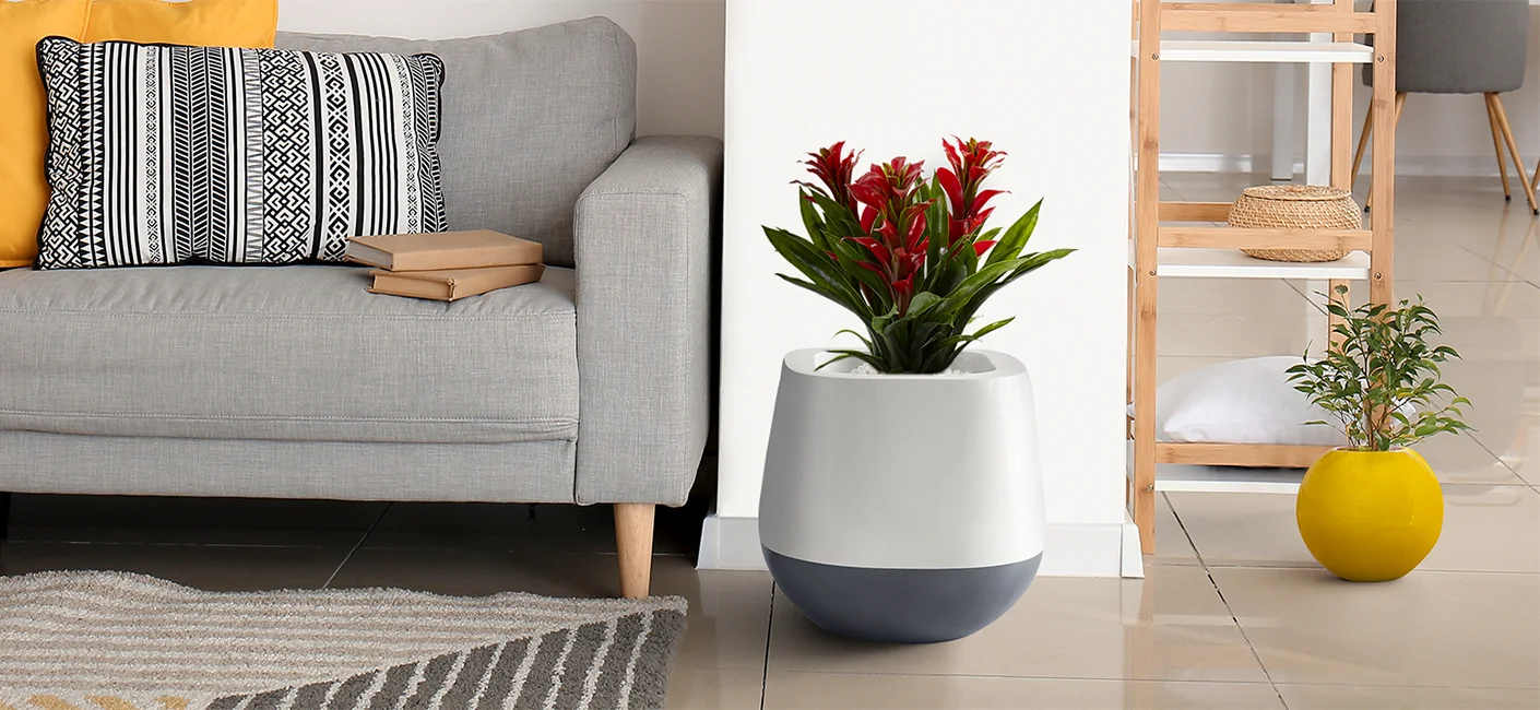 Interior Decor Ideas with Planters