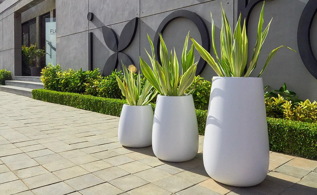 10 Ways to Beautify Your Space with Indoor Planters