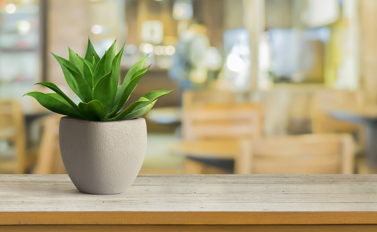 Modern tabletop planters | Tabletop planters | Luccio by Bonasila